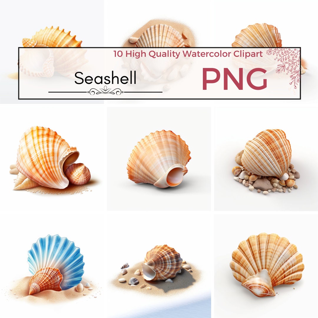 Set of 10 - Seashell Clipart, Seashell Illustrations, Card Making, Seashell Digital Prints, High ...