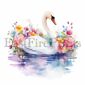 20 Watercolor Swan Clipart PNG | Baby Swan, Bird, Nursery, Printable ...