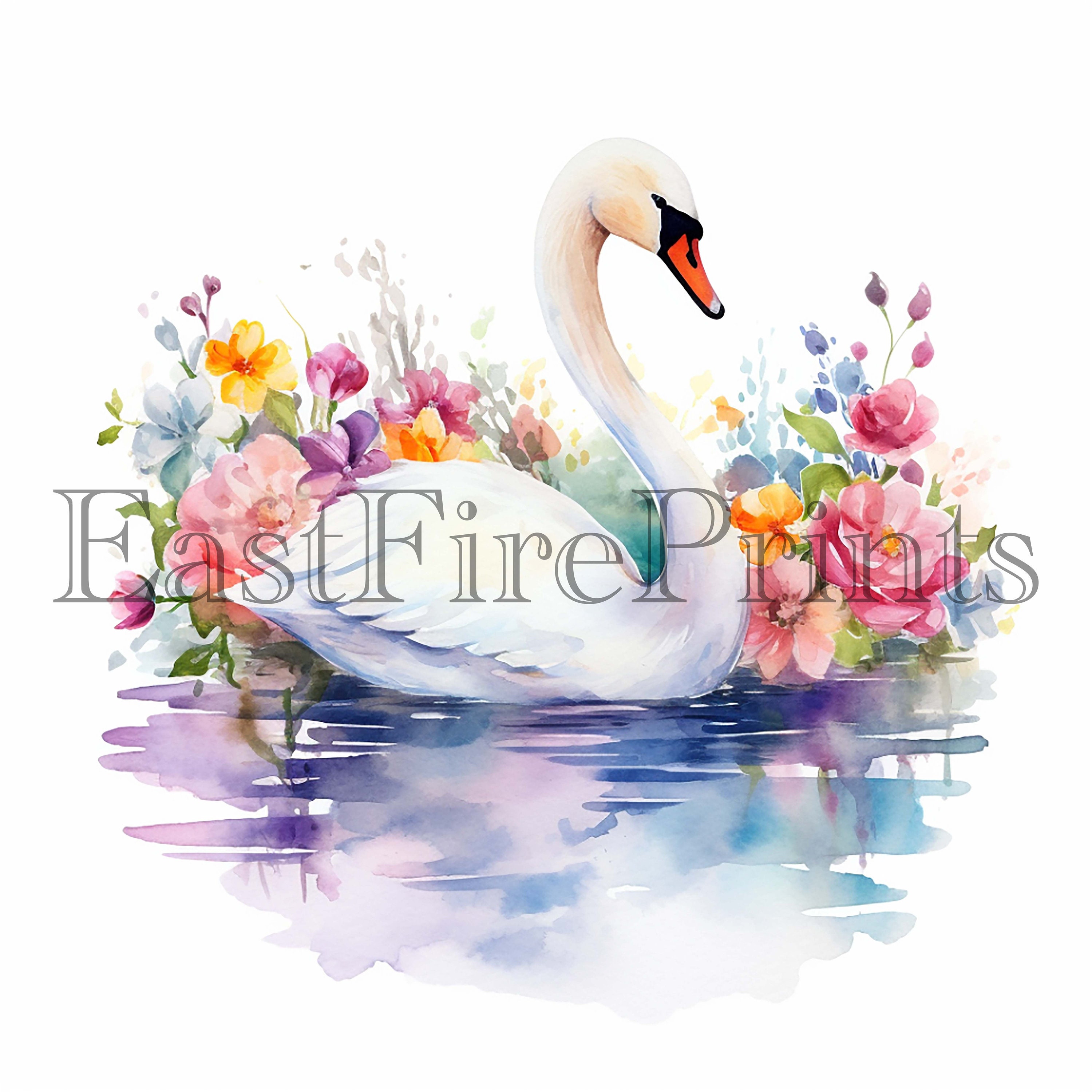 20 Watercolor Swan Clipart PNG Baby Swan Bird Nursery - Etsy