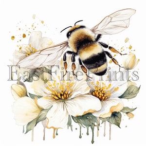 20 PNG Watercolor Bumble Bee Clipart Instant Download, Spring Bee Clip ...