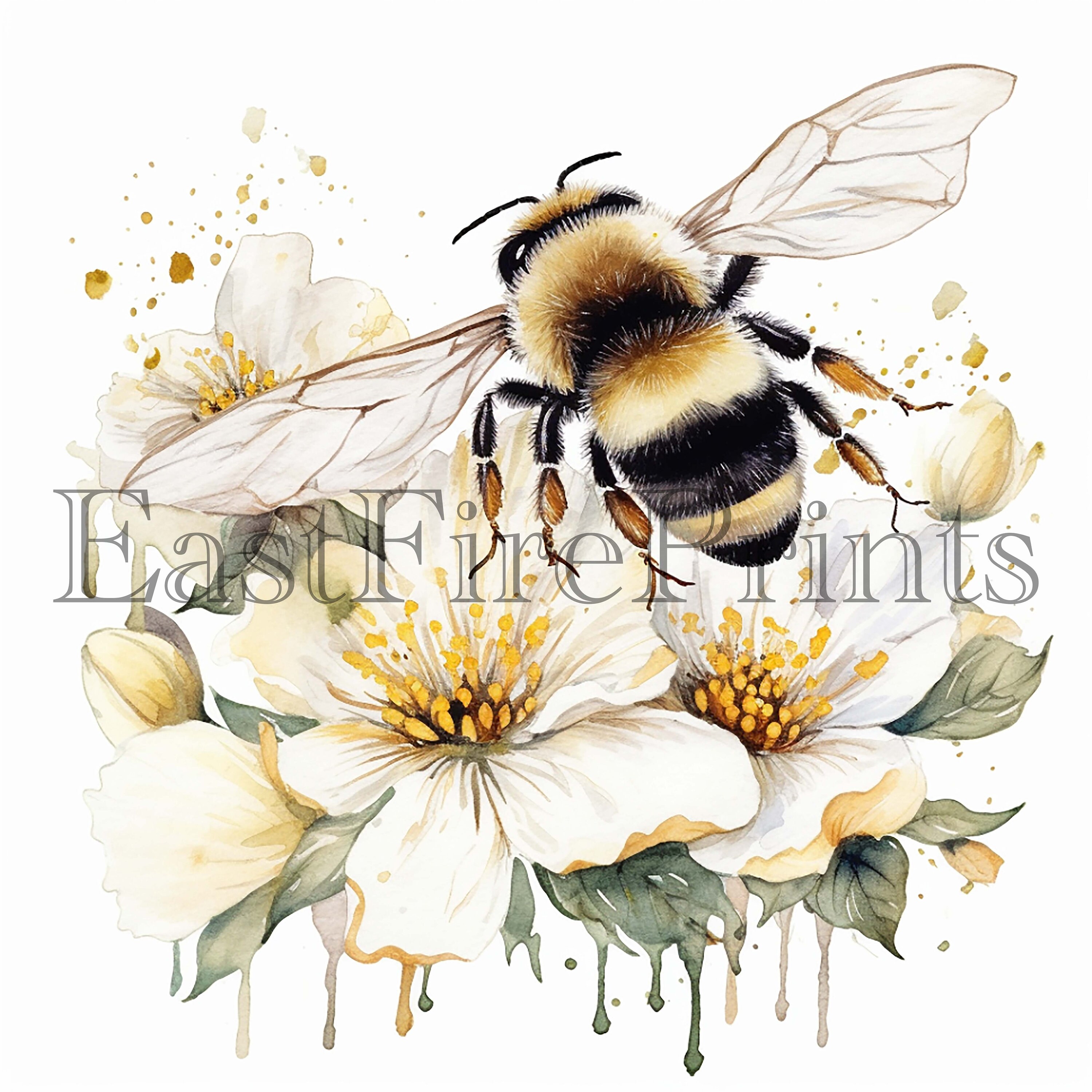 20 PNG Watercolor Bumble Bee Clipart Instant Download Spring - Etsy