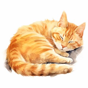 Orange Cat Clipart, High Quality PNG, Cute Kitten Clipart, Cat ...