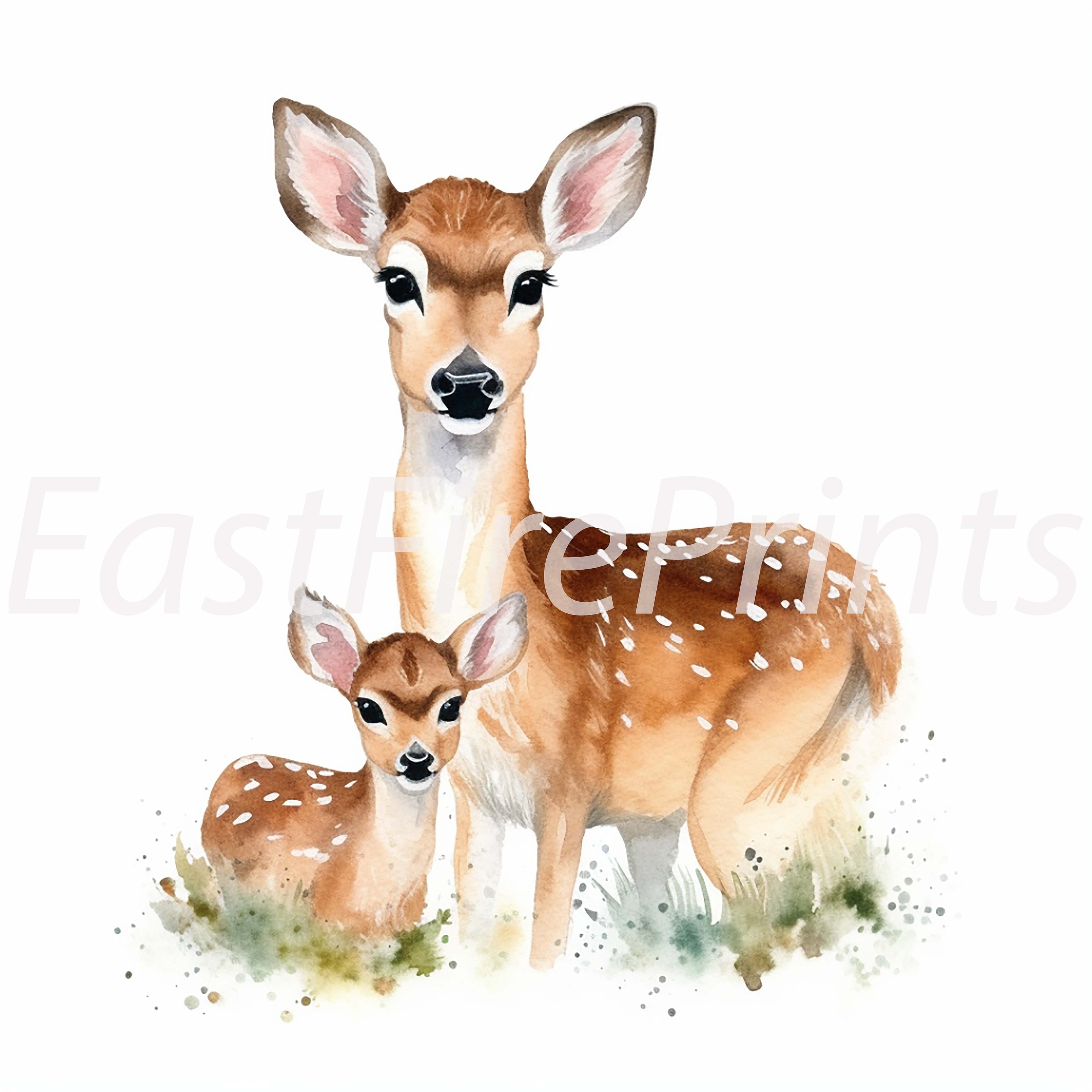 20 Watercolor Deer Clipart Bundle Little Deer Cute Deer PNG - Etsy