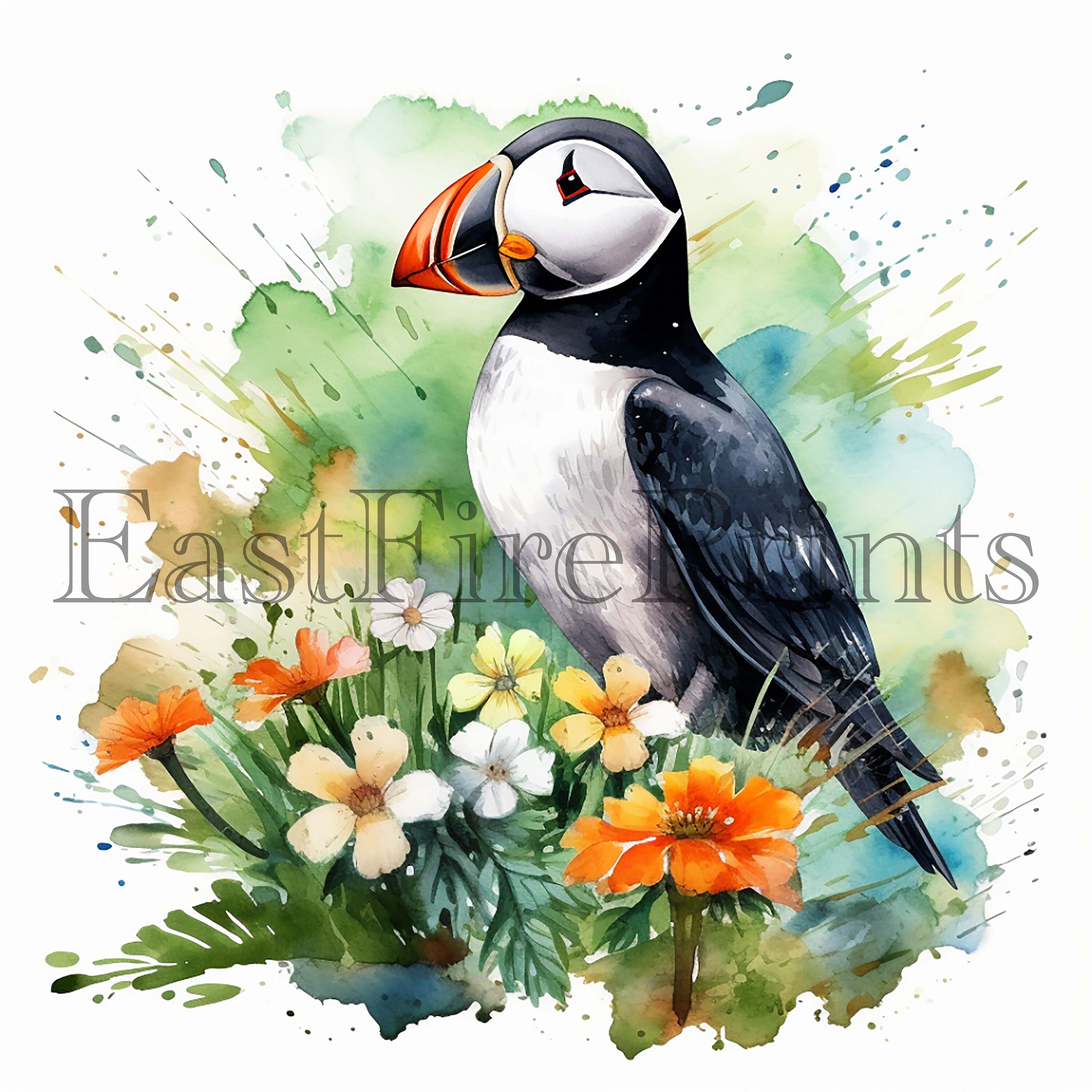 Watercolor Puffin Clipart High Quality Png Cute Animal Clip - Etsy