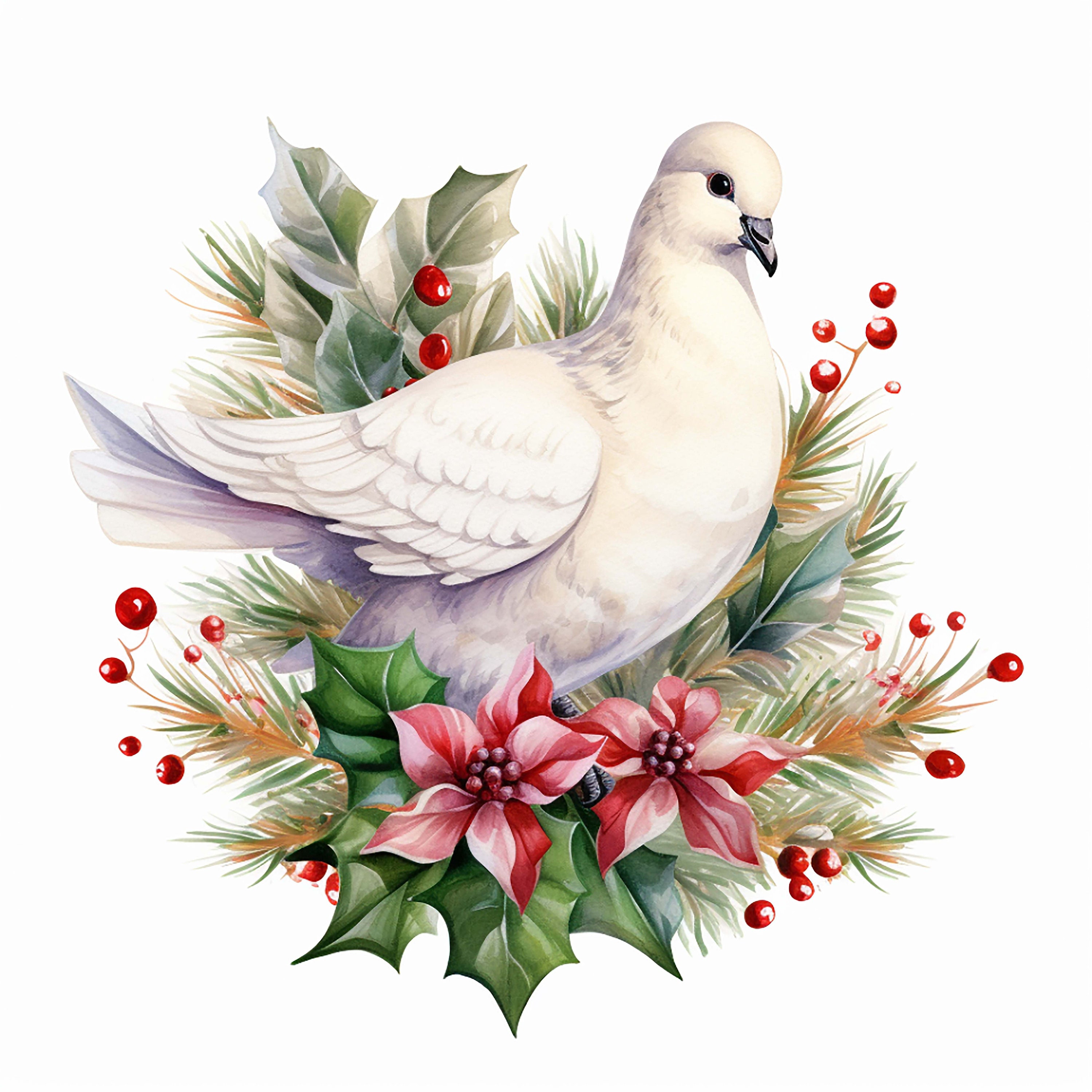 Watercolor Christmas White Dove Clipart Holiday Clipart - Etsy