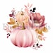 Watercolor Pink Pumpkin Clipart High Quality Png Fall - Etsy