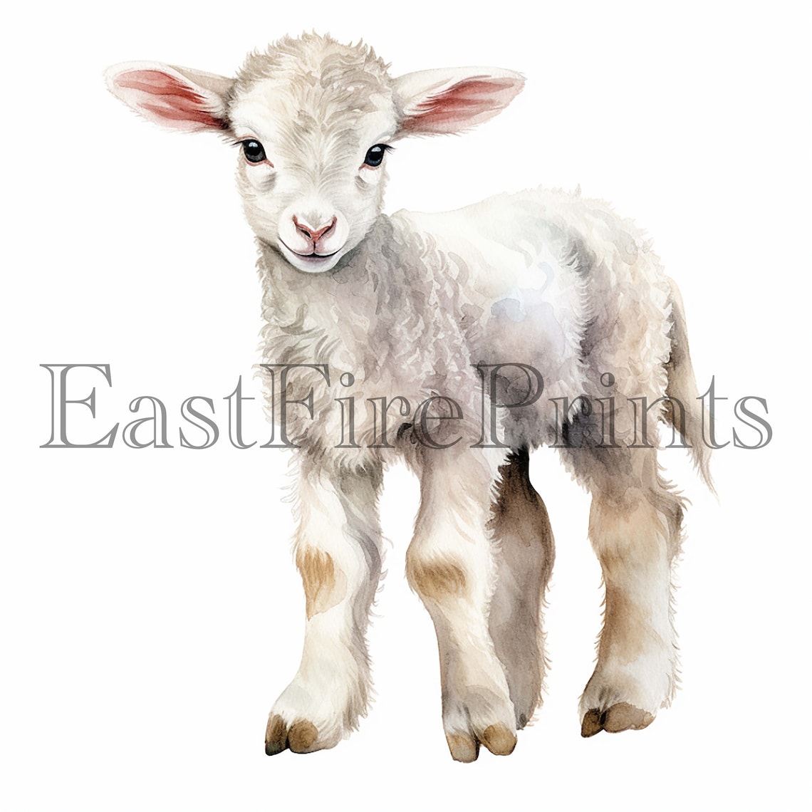 20 Baby Lamb Watercolor Clipart High Quality Png Cute Farm - Etsy