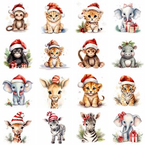 20 Christmas Baby Safari Animals Watercolor Clipart, High Quality Png ...