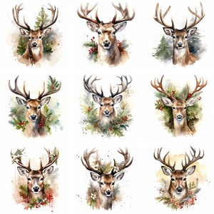 Watercolor Reindeer Clipart PNG Files, Christmas Deer Clip Art , Winter ...