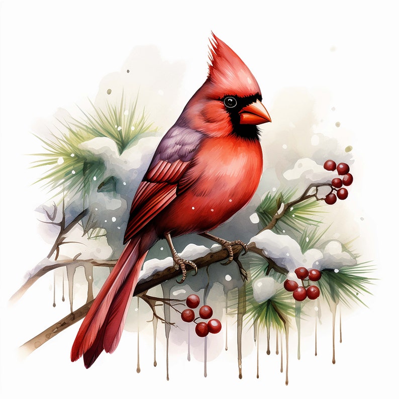 Christmas Red Cardinal Clipart High Quality PNG Digital - Etsy