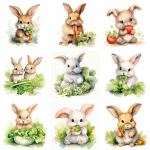 Fluffy Bunny Clipart, High Quality PNG, Spring PNG, Easter PNG, Rabbit ...