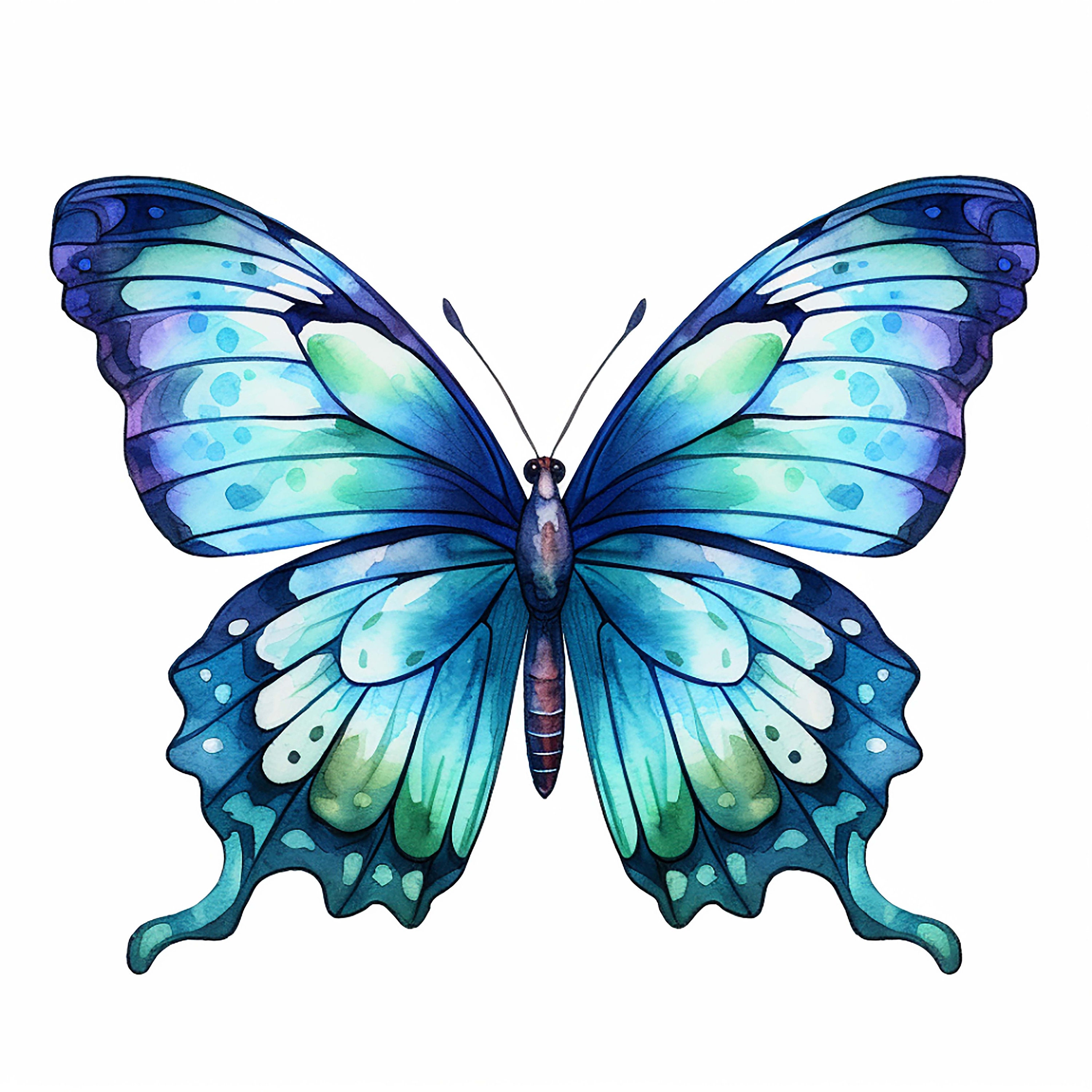 Butterfly Clipart High Quality Png Butterflies Printables - Etsy