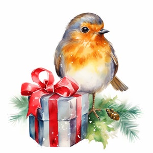 Watercolor Christmas Robin Clipart, High Quality JPG, Christmas Clipart ...