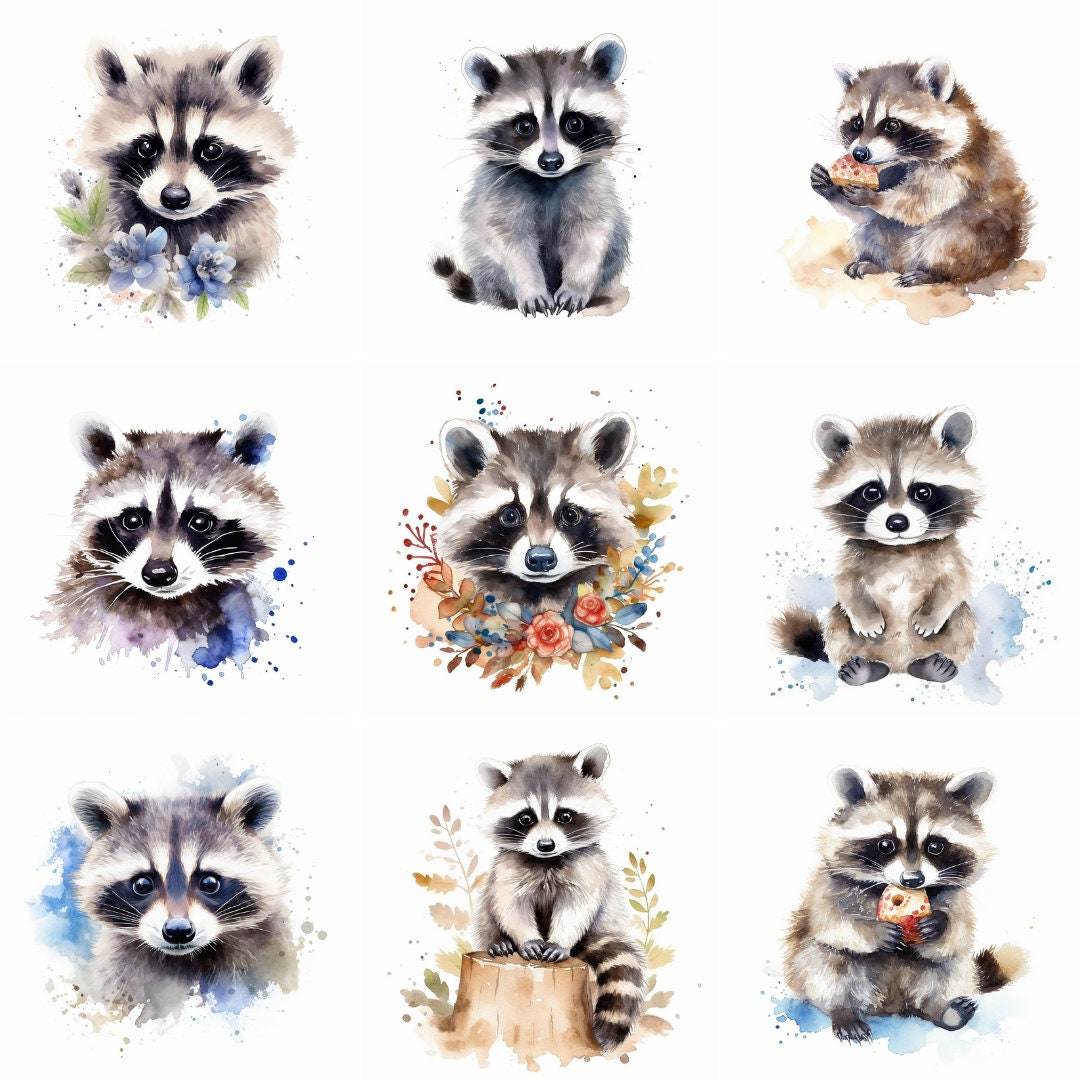 20 Watercolor Raccoon Clipart Set Baby Raccoon PNG Nursery - Etsy