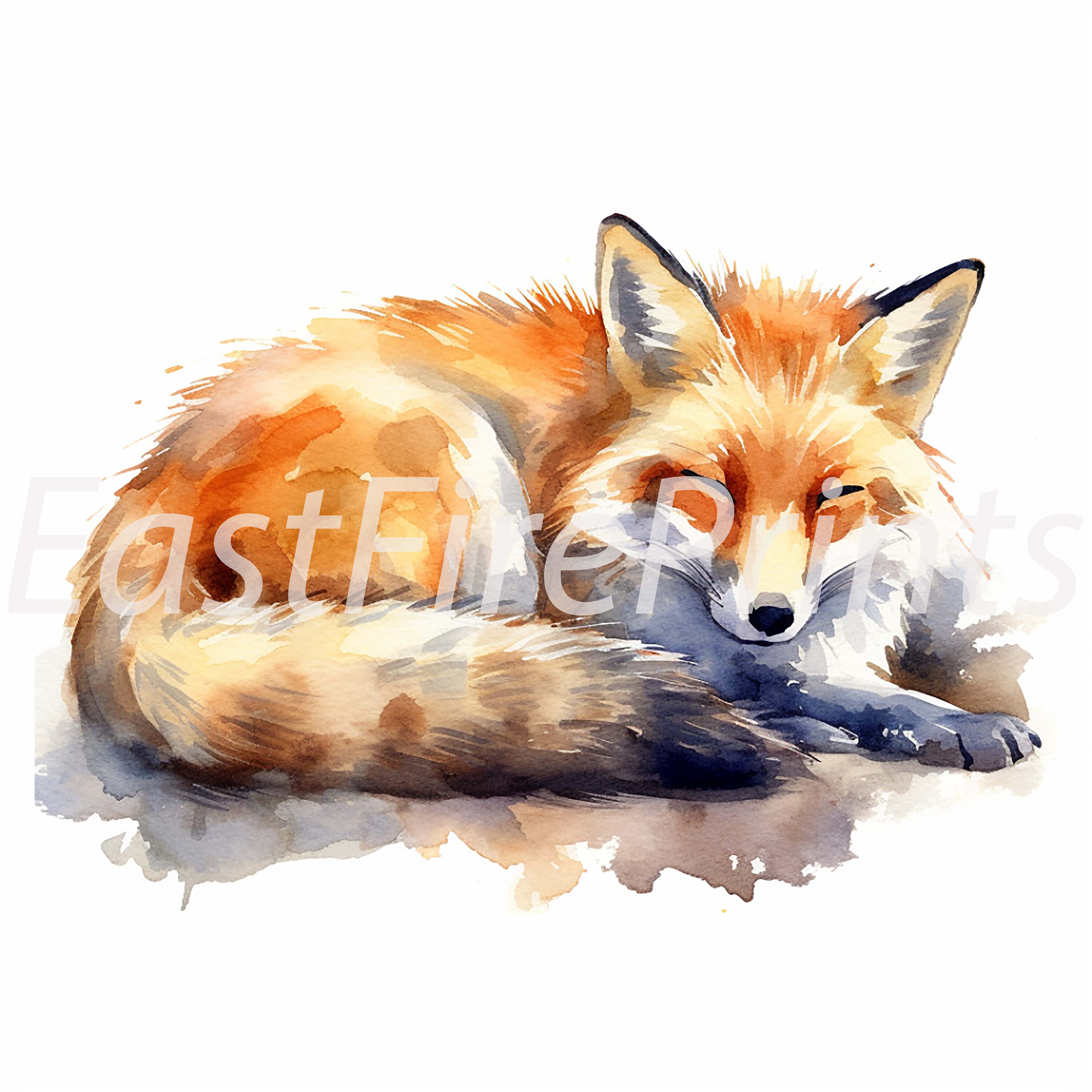 20 Watercolor Fox Clipart Set Animal Portrait Images - Etsy
