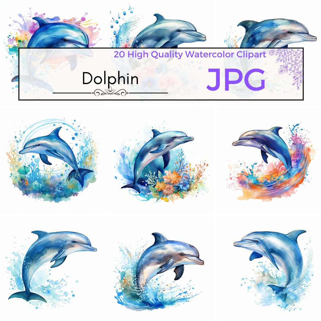 Watercolor Dolphin Clipart, Animal Graphics Dolphin Sublimation Cute ...