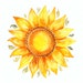 Watercolor Sun Clipart, Cute Clipart Nursery Graphics Sun Sublimation ...