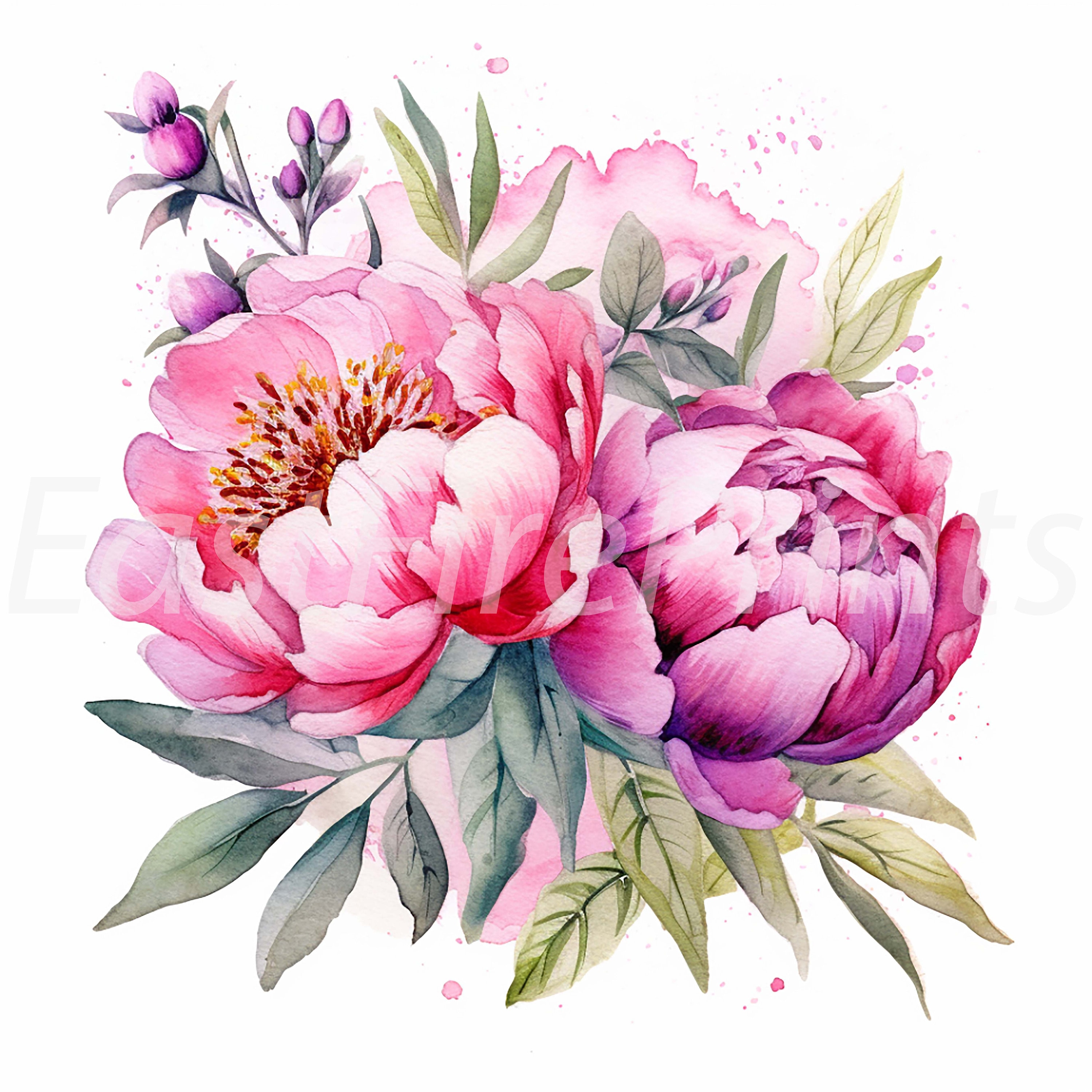 20 Watercolor Peony Bouquet Clipart Bundle Floral - Etsy