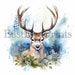 Watercolor Reindeer Clipart PNG Files, Christmas Deer Clip Art , Winter ...