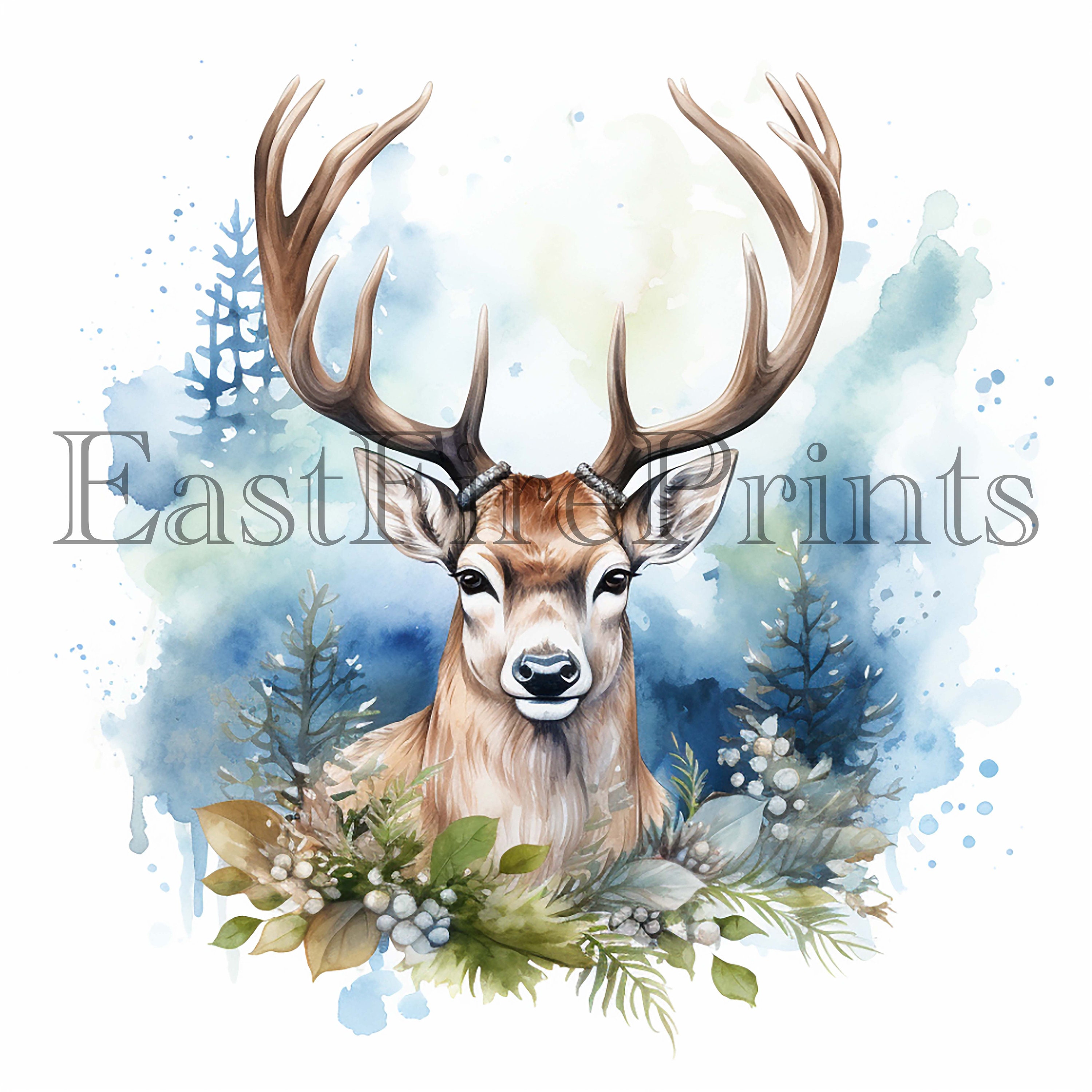 Watercolor Reindeer Clipart PNG Files Christmas Deer Clip Art - Etsy