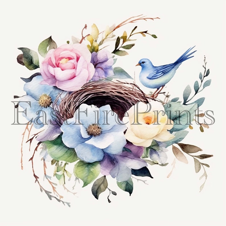 Watercolor Bird Nests Clipart PNG Bird Clip Art Springtime - Etsy