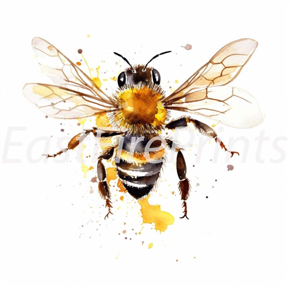 20 Watercolor Honeybee Clipart Bundle Bee Illustrations - Etsy