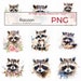 20 Watercolor Raccoon Clipart Set Baby Raccoon PNG Nursery - Etsy