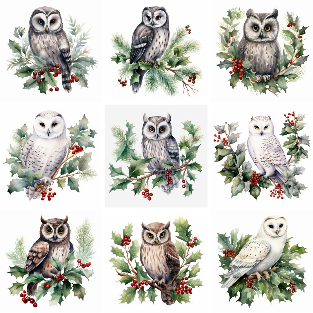 Watercolor Cute Winter Owls Clipart PNG, Christmas and Winter Clip Art ...