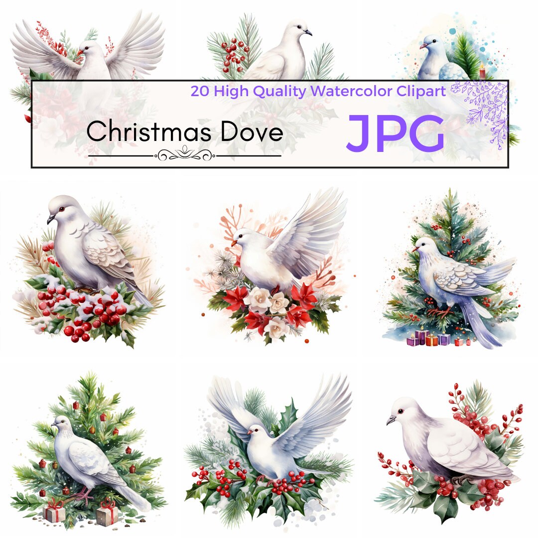 Watercolor Christmas White Dove Clipart, Holiday Clipart Winter ...