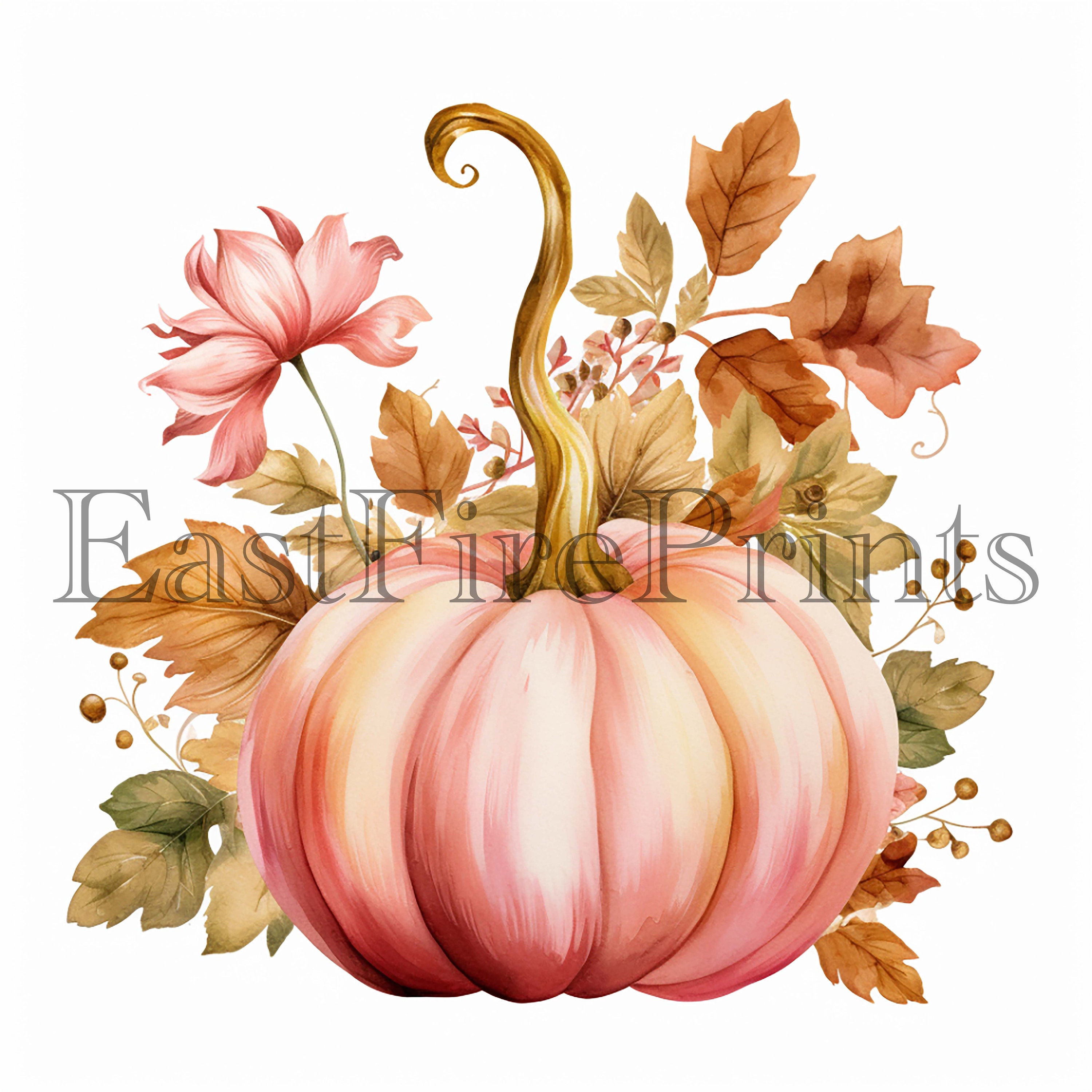 Watercolor Pink Pumpkin Clipart High Quality Png Fall - Etsy