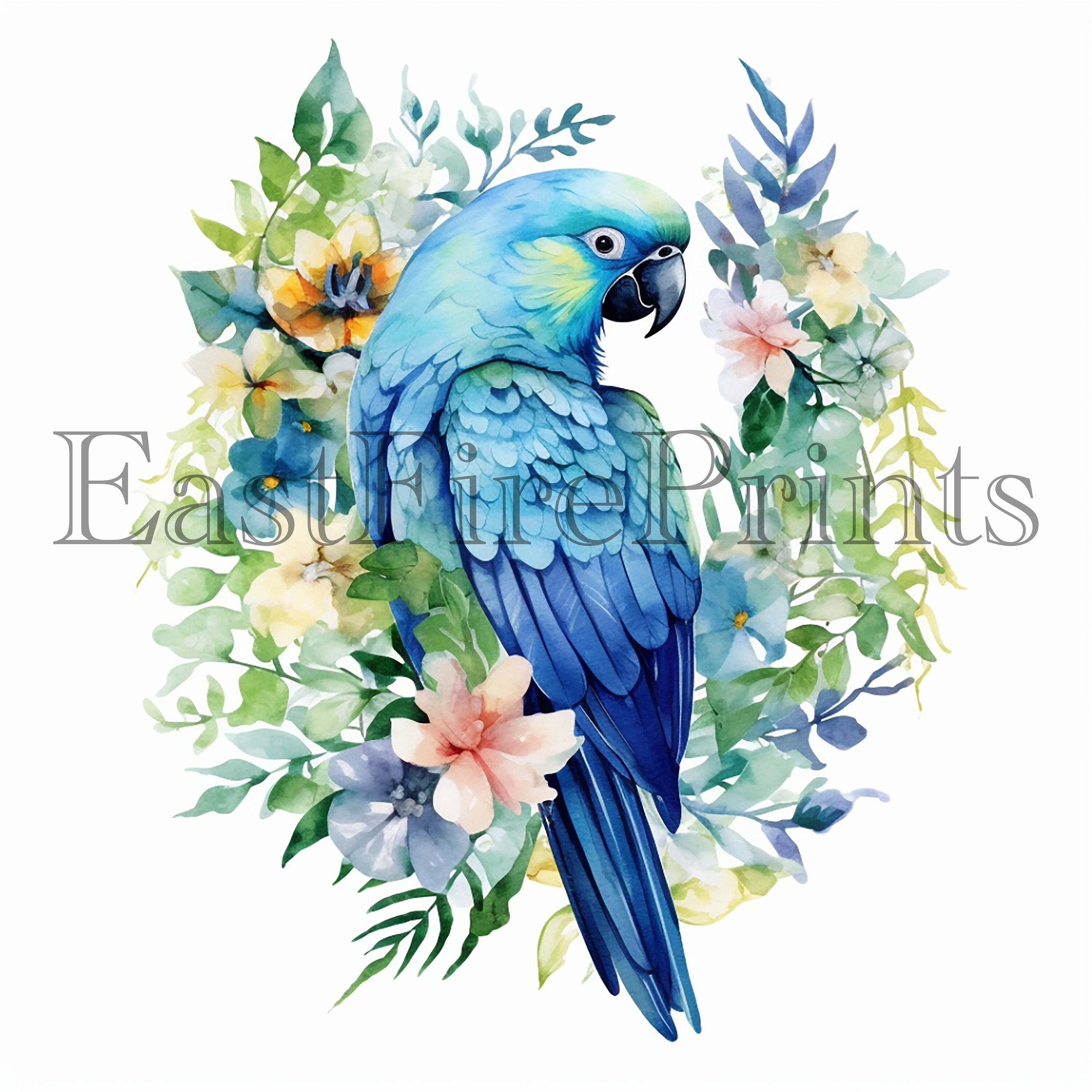 Watercolor Parrot Clipart PNG Tropical Birds Clip Art With - Etsy