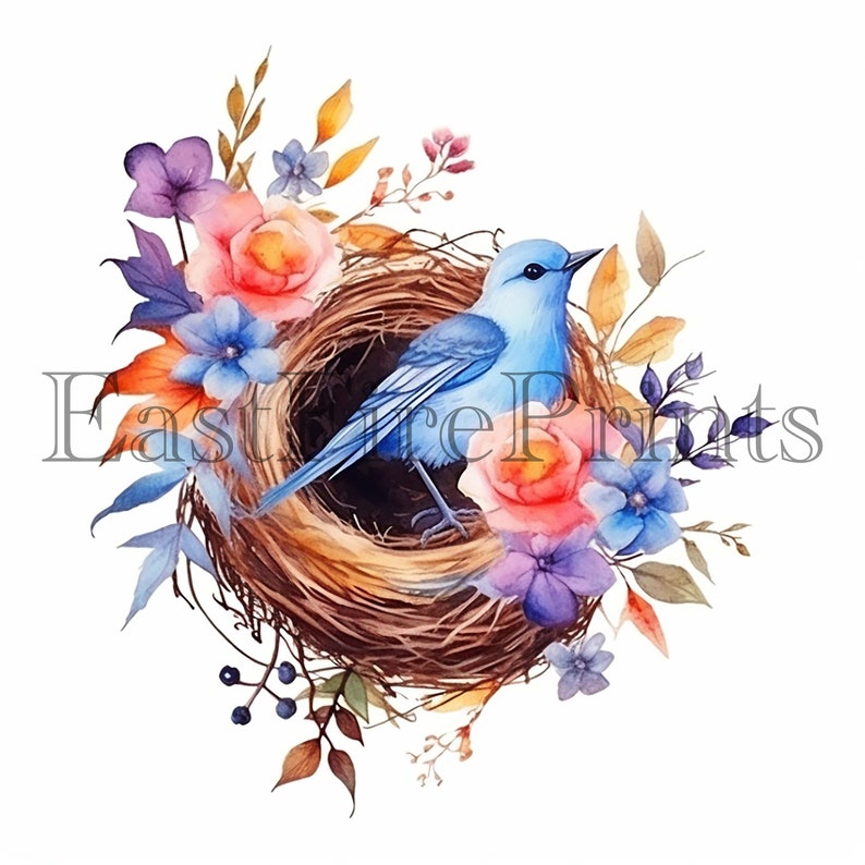 Watercolor Bird Nests Clipart PNG Bird Clip Art Springtime - Etsy