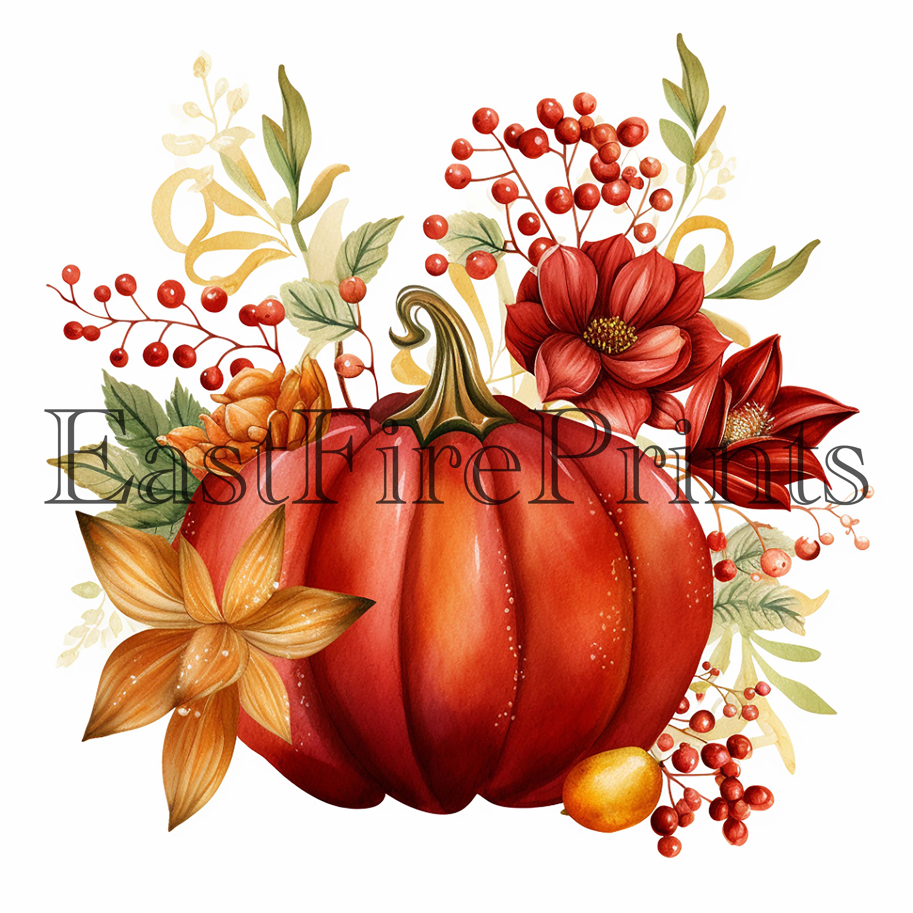 20 Red Pumpkin Watercolor Clipart High Quality Png - Etsy