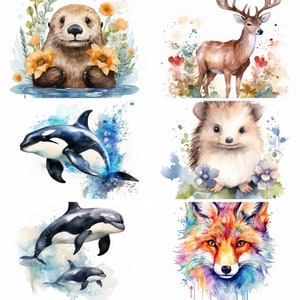 100 Watercolor Animals Clipart Set - Cute Animal PNG - Sea Otter ...