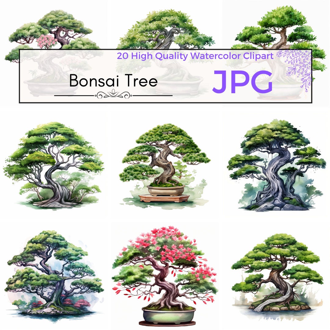 Watercolor Bonsai Tree Clipart, Asian Clipart Tree Sublimation Tree ...