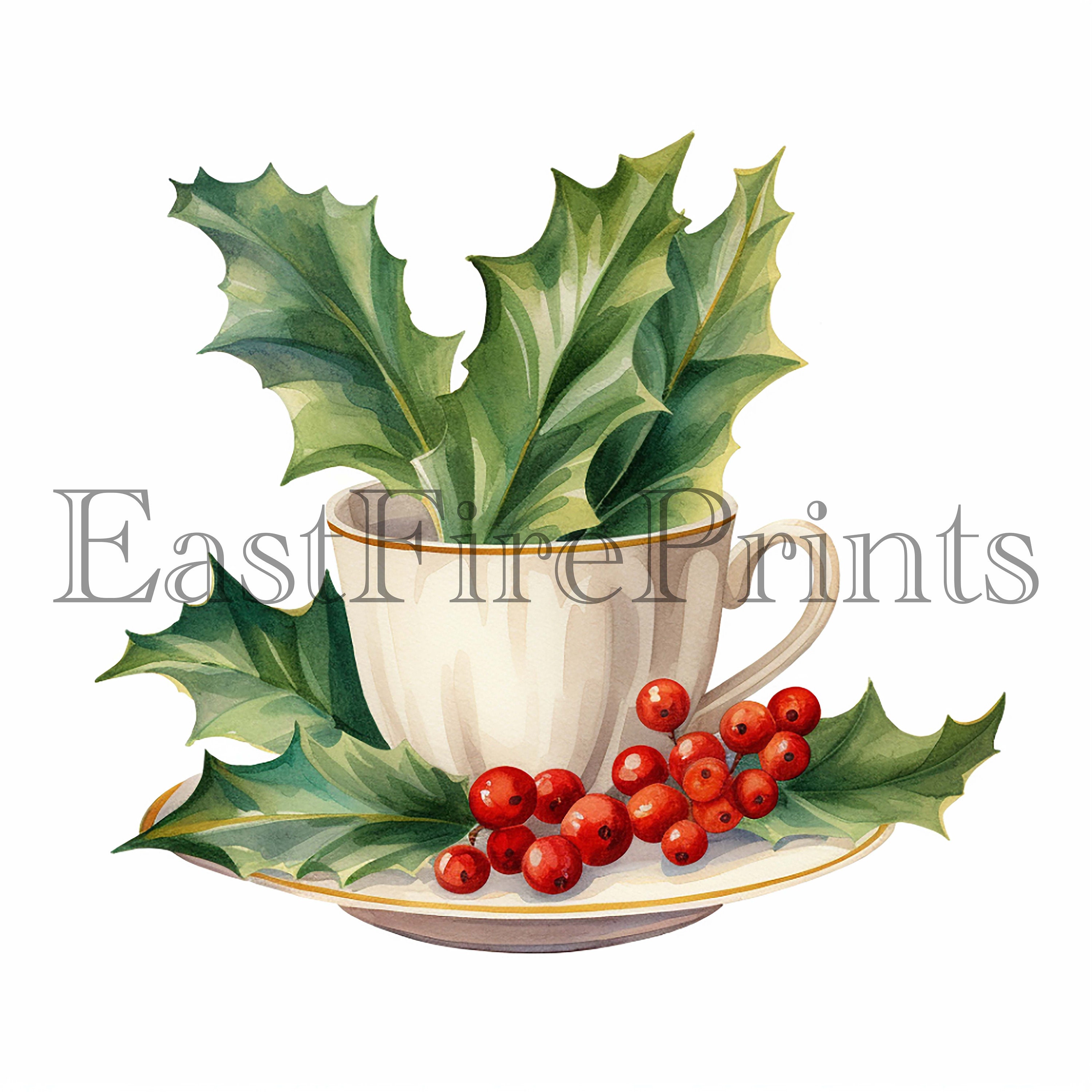 Watercolor Holly Mistletoe Clipart PNG Winter Botanical Clip - Etsy