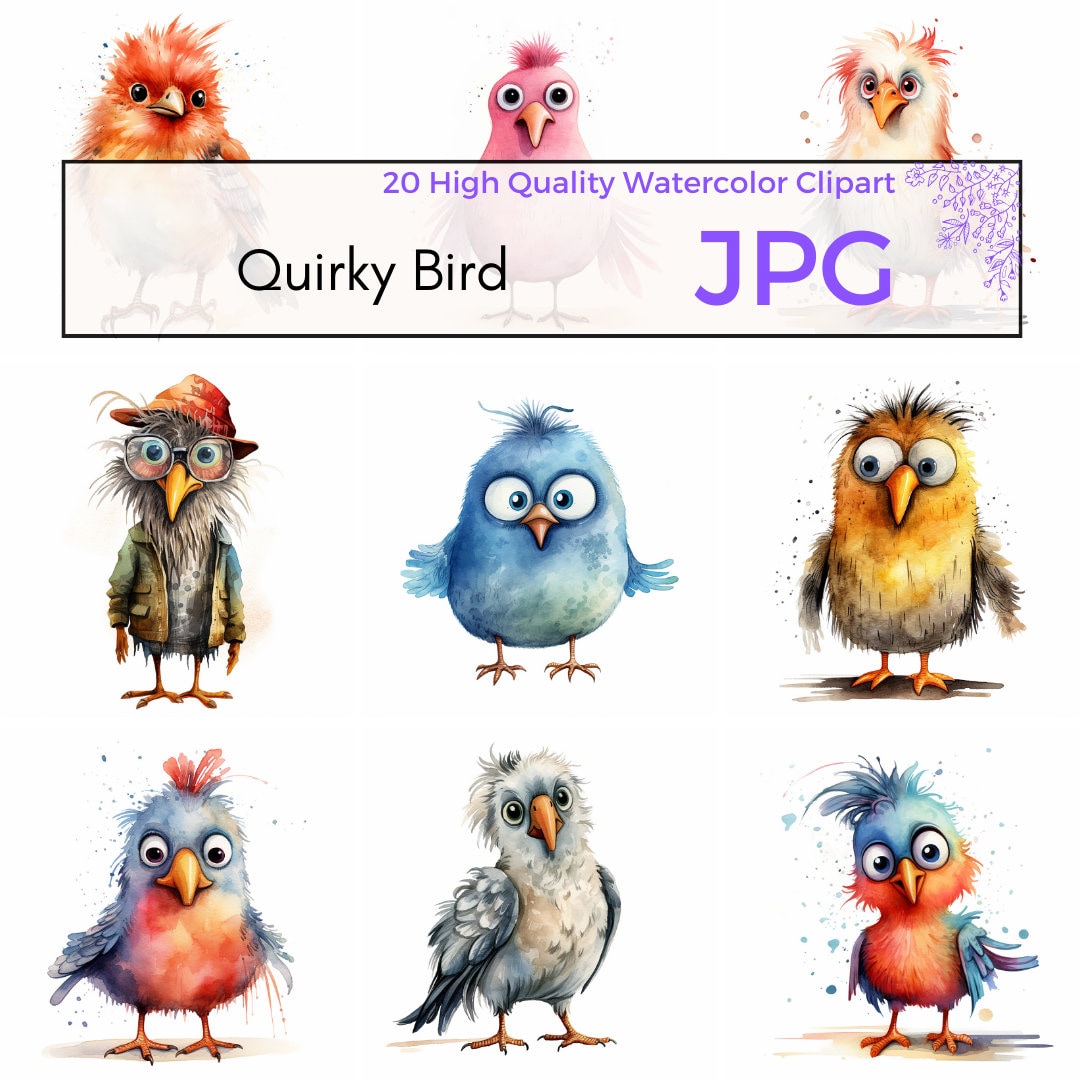 Watercolor Funny and Quirky Bird Clipart, High Quality JPG, Cute ...