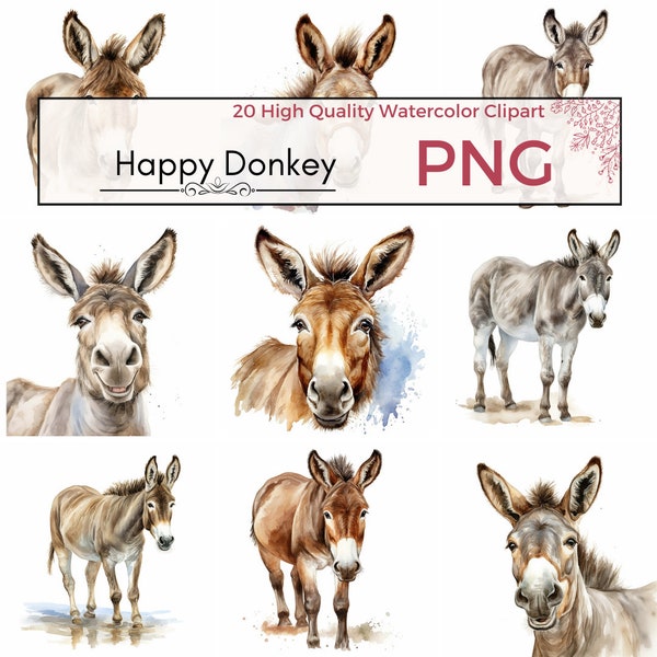 Donkey Card - Etsy