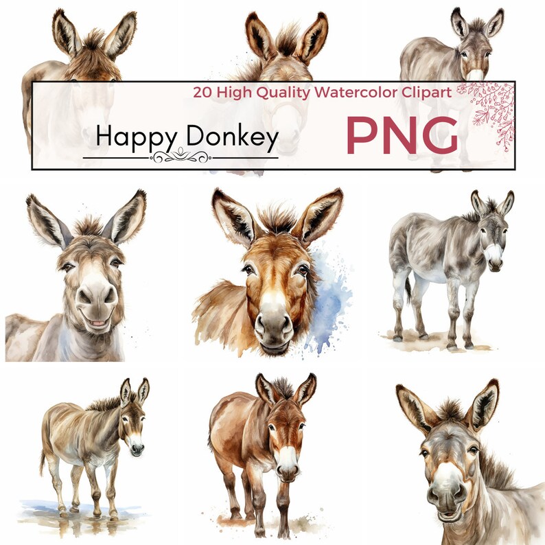 Happy Donkey Clipart High Quality PNG Farm Animal Clipart - Etsy