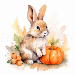 Watercolor Autumn Clipart Set Card Making, 18 PNG Images, Fall Clipart ...