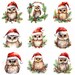 Watercolor Christmas Owl Clipart High Quality Png Cute Owl - Etsy