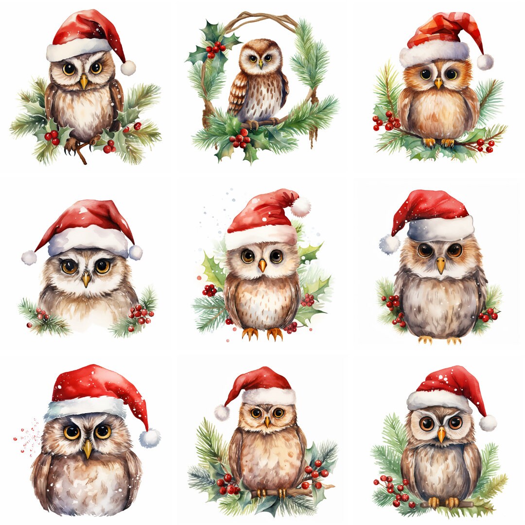 Watercolor Christmas Owl Clipart High Quality Png Cute Owl - Etsy