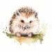 20 Watercolor Hedgehog Clipart Bundle | Hedgehog Wall Art, Hedgehog ...