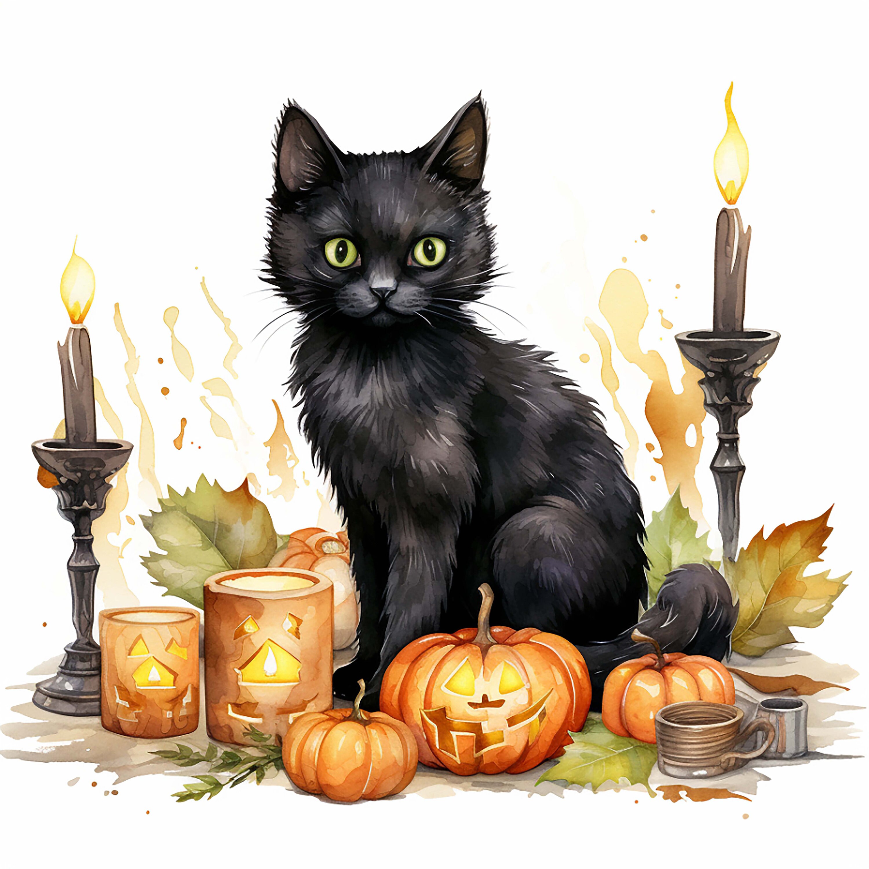 Halloween Black Cat Clipart High Quality Png Halloween - Etsy