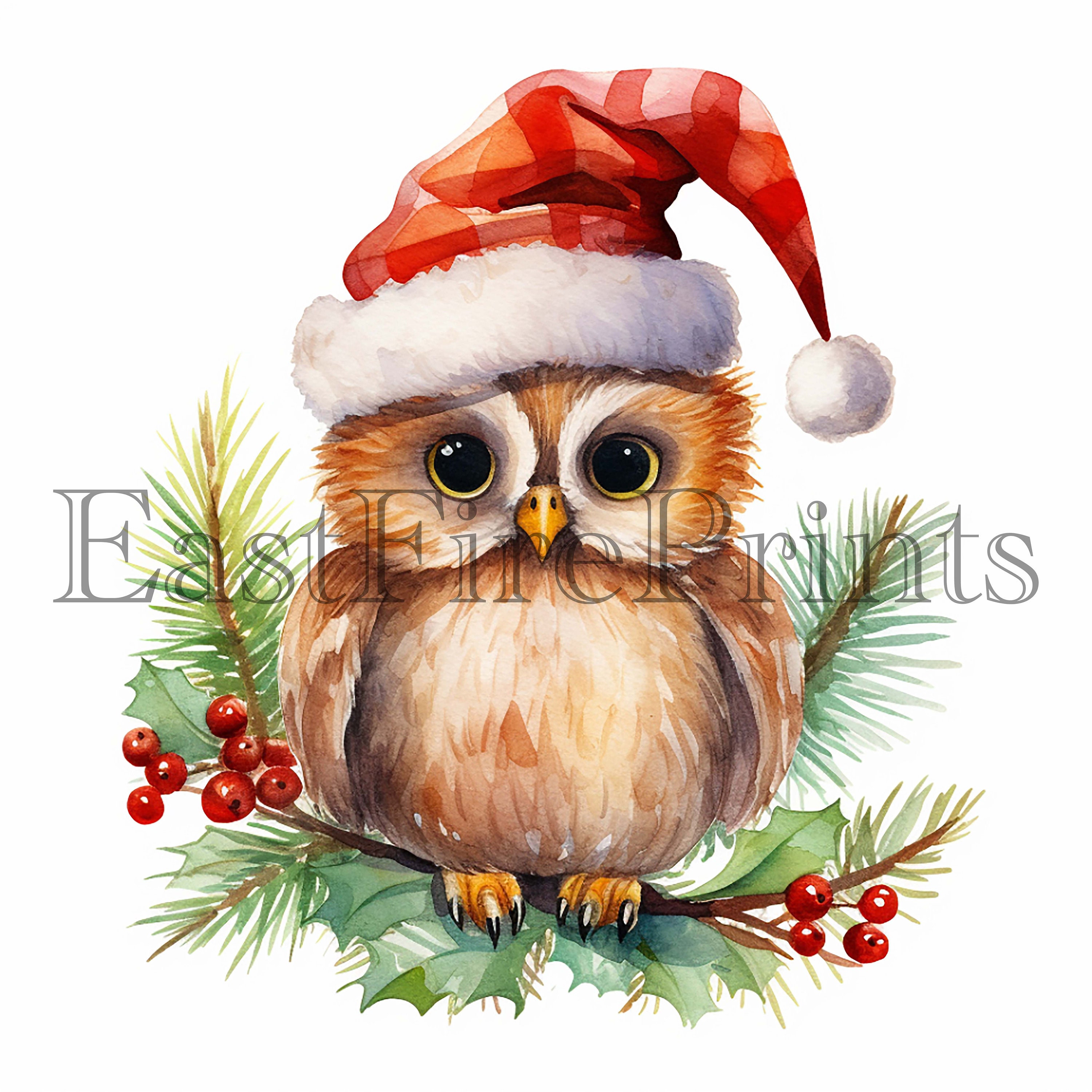 Watercolor Christmas Owl Clipart High Quality Png Cute Owl - Etsy