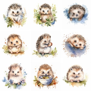 20 Watercolor Hedgehog Clipart Bundle | Hedgehog Wall Art, Hedgehog ...