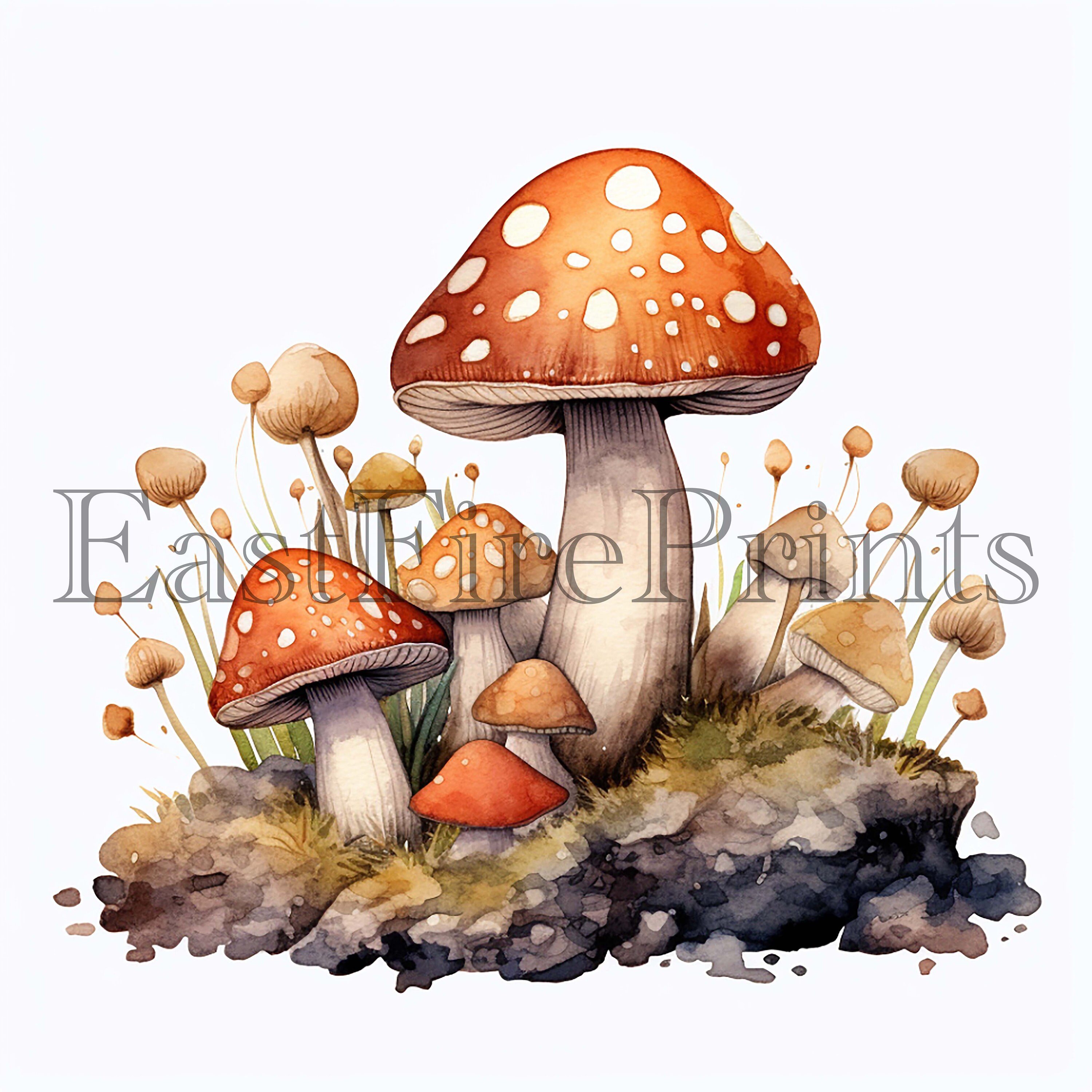 19 Watercolor Mushroom Clipart PNG Cute Forest Nature - Etsy
