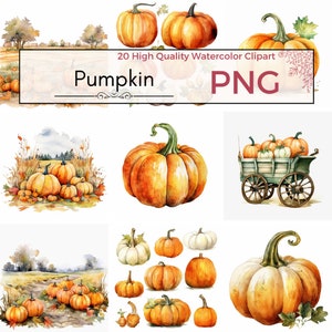 20 PNG Watercolor Pumpkin Clipart Instant Download, Fall Clipart ...
