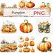 20 PNG Watercolor Pumpkin Clipart Instant Download, Fall Clipart ...