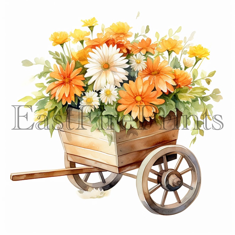 Watercolor Gerbera Clipart PNG Floral Spring Clip Art - Etsy